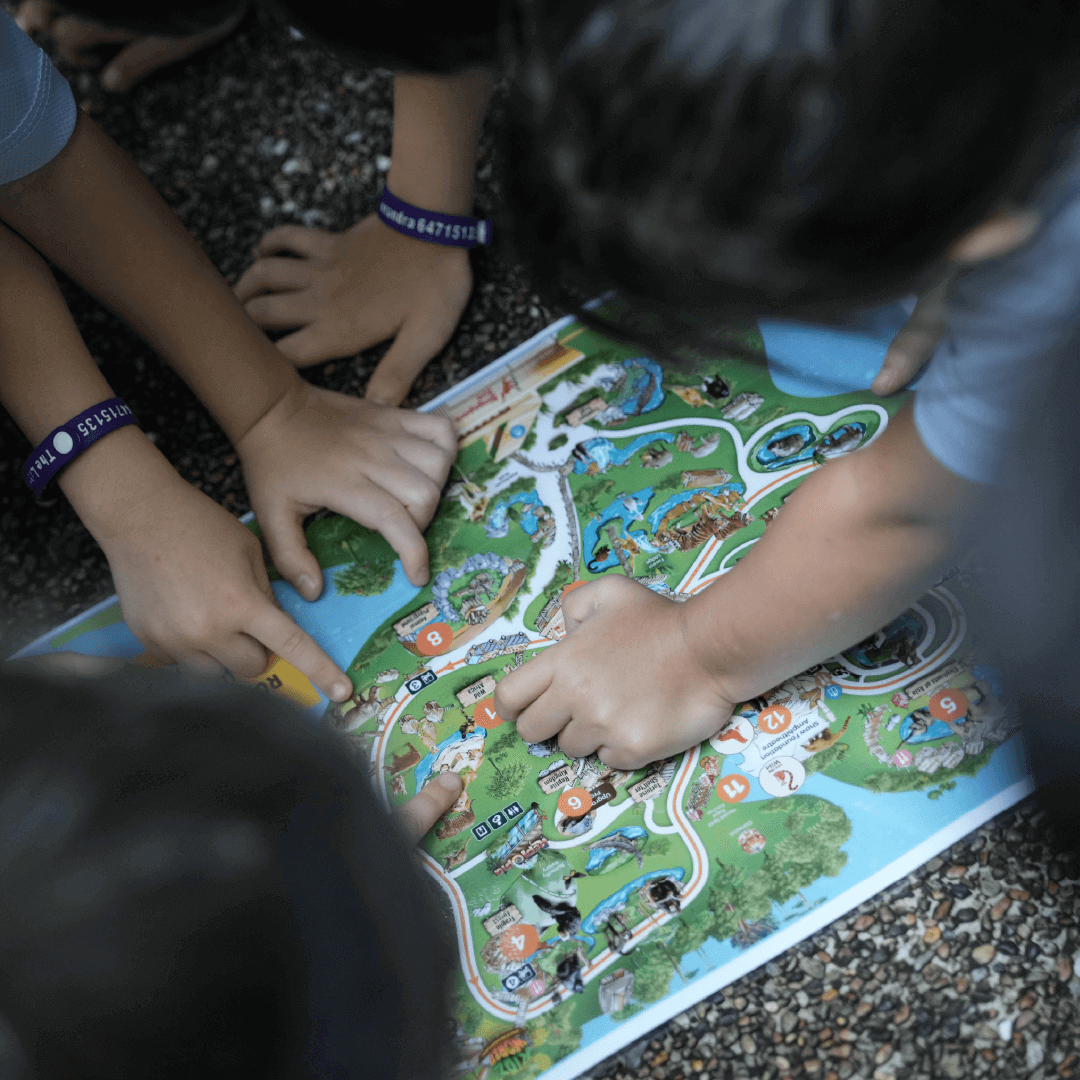Mandai ZooSchool | Singapore's Best Wildlife Experience